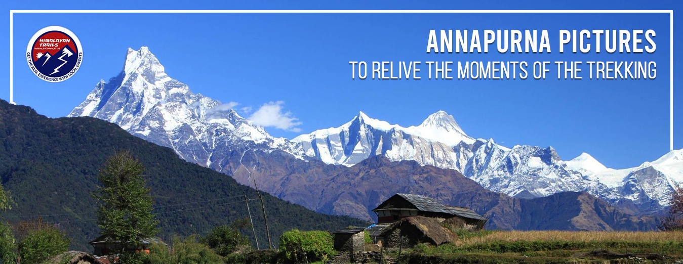 Annapurna Pictures To Relive The Moments Of The Trekking